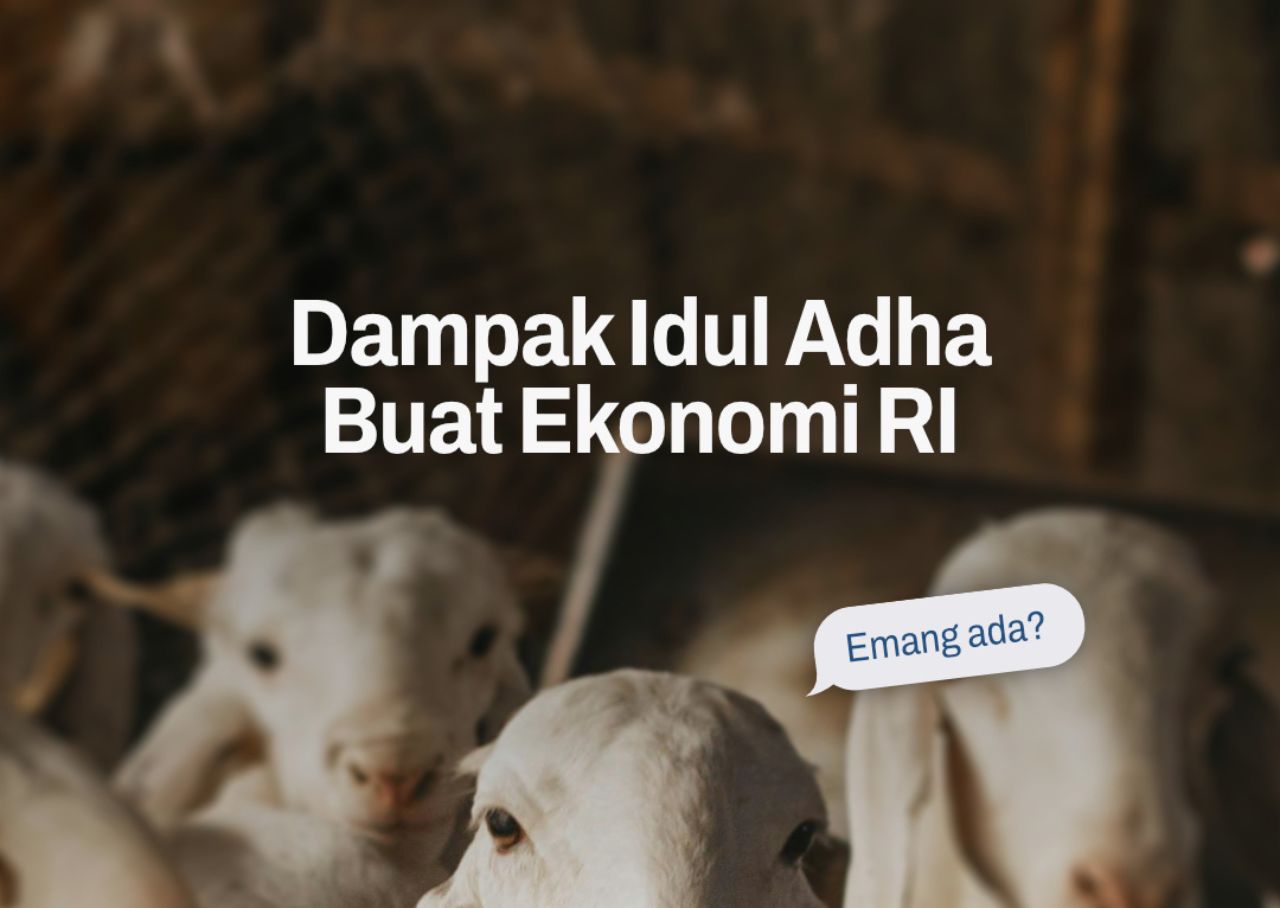 Dampak Idul Adha Buat Ekonomi RI | SHAFIQ